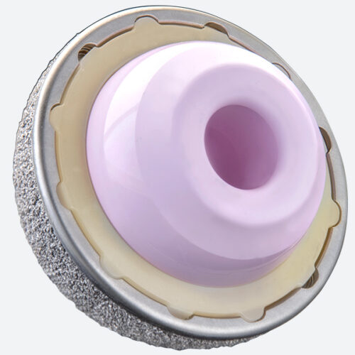 BIOLOX® delta Ceramic Femoral Head | Total Hip Arthroplasty | Advita Ortho